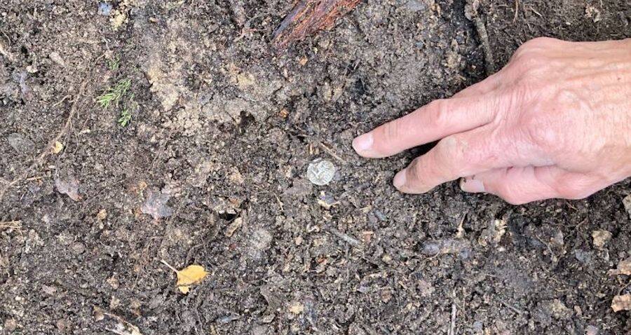 Hoard Of 2,000-Year-Old Roman Coins Found In Tuscany