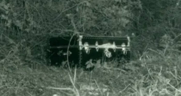 Florida 'Trunk Lady' Finally Identified 53 Years After Her Murder