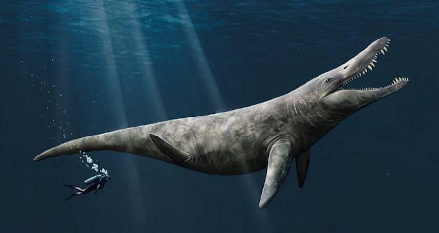 Kaleena Fraga - All That's Interesting