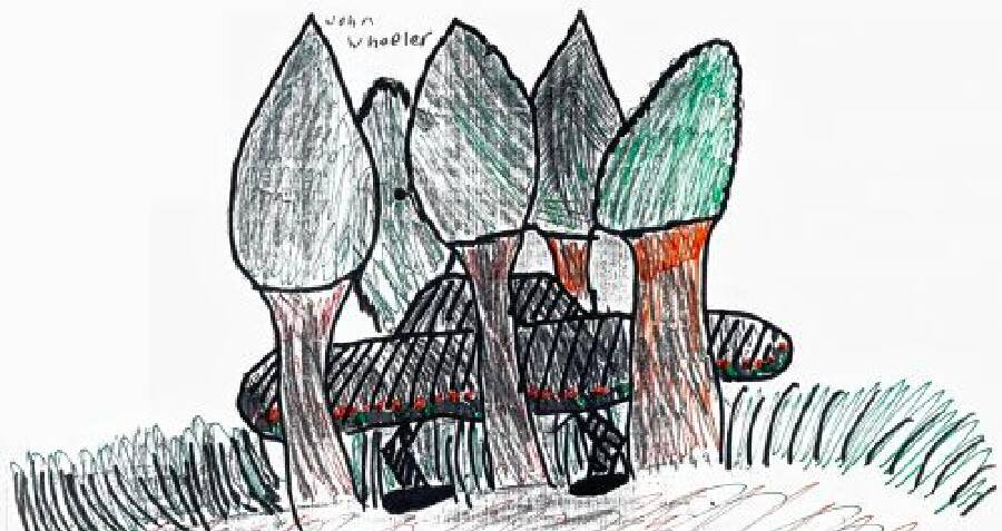 The Ariel School Phenomenon, When Dozens Of Children Saw A UFO