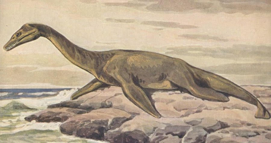 Inside The Enduring Legend Of The Loch Ness Monster