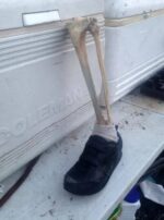 The Salish Sea Feet Mystery And Its Eerie Explanation