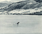 Inside The Enduring Legend Of The Loch Ness Monster