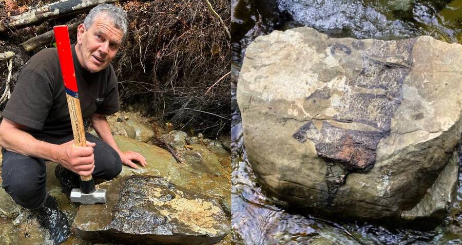 Cyclone Reveals Enormous Fossils Of Two Extinct Marine Reptiles