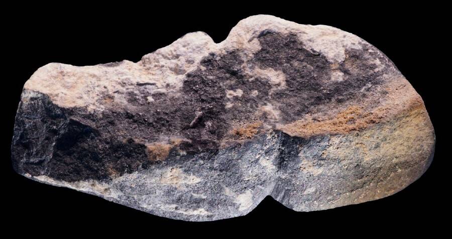 42,000-Year-Old Carving May Be Oldest Known Phallic Art