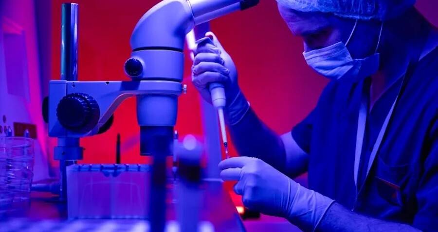 Scientists Created Synthetic Human Embryos, Raising Ethical Questions