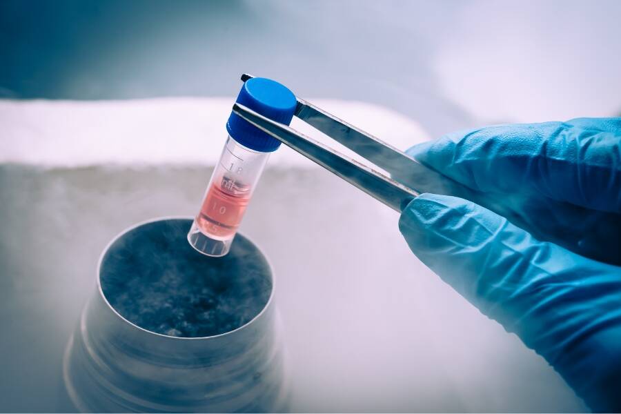 Scientists Created Synthetic Human Embryos Raising Ethical Questions