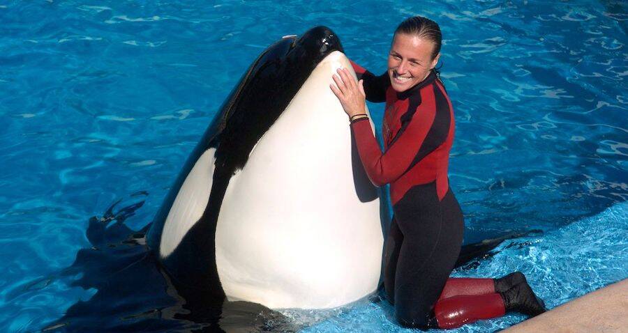 Tilikum, The Captive Orca From ‘Blackfish’ Who Killed His Trainer