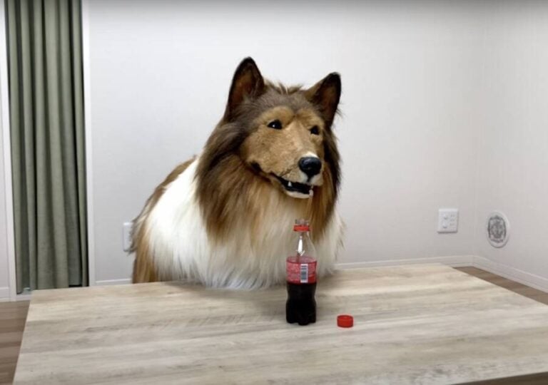 Japanese Man Spends $14K To 'Become An Animal' Via Collie Suit