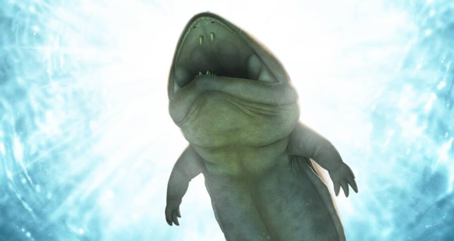 Paleontologists Identify Rare Fossil As Triassic Salamander