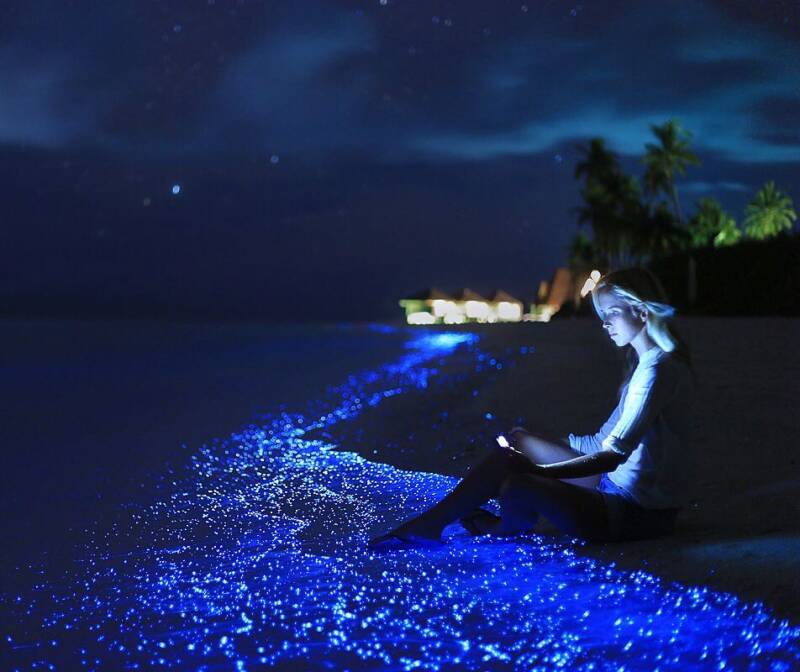 Explore The Sparkling Sea Of Stars In The Maldives