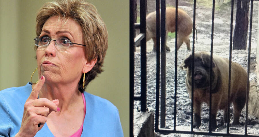 Susan Monica, The Killer Who Fed Her Victims To Her Pigs