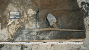 300,000-Year-Old 'Throwing Sticks' Discovered In Germany