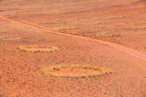 Fairy Circles, The Mysterious Rings Found All Over The World