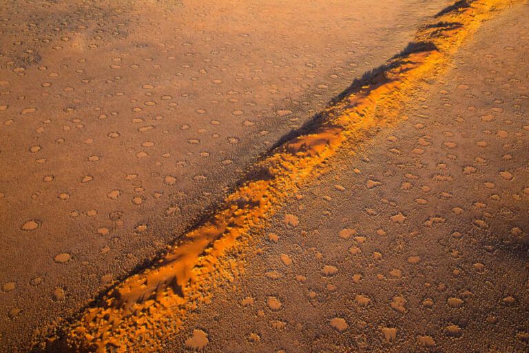 Fairy Circles, The Mysterious Rings Found All Over The World