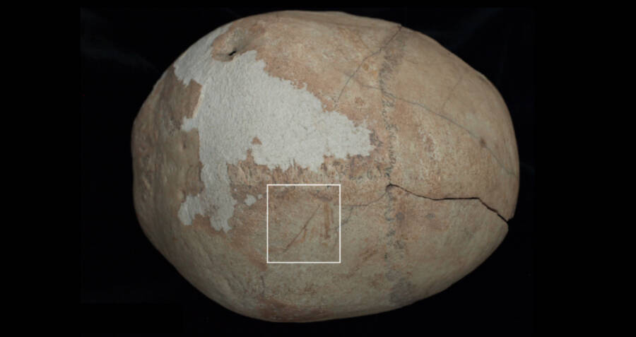 Researchers Find Cup Made From Human Skull In Spanish Cave