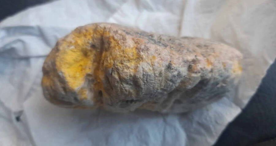 Dog May Have Found Valuable Ambergris On Scottish Beach