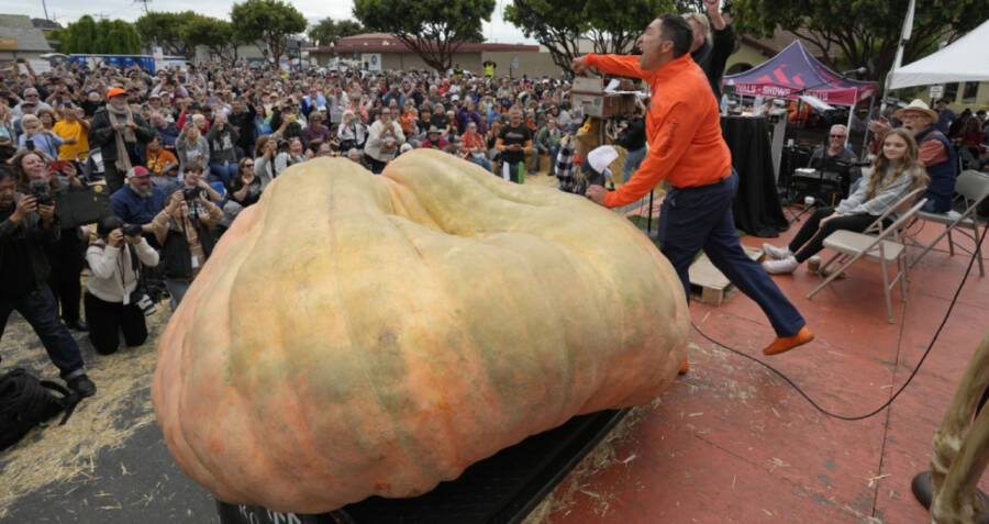 Minnesota Man Grows World-Record 2,749-Pound Pumpkin
