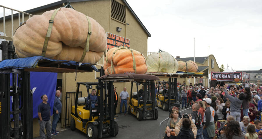 Minnesota Man Grows World-Record 2,749-Pound Pumpkin