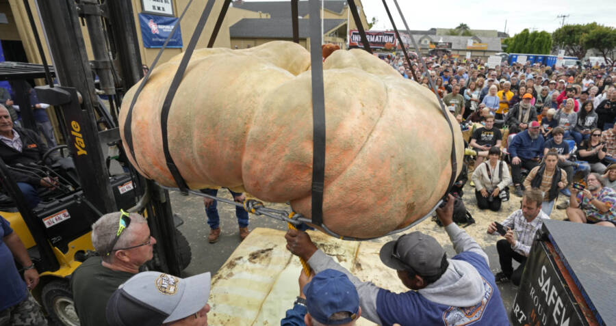 Minnesota Man Grows World-Record 2,749-Pound Pumpkin