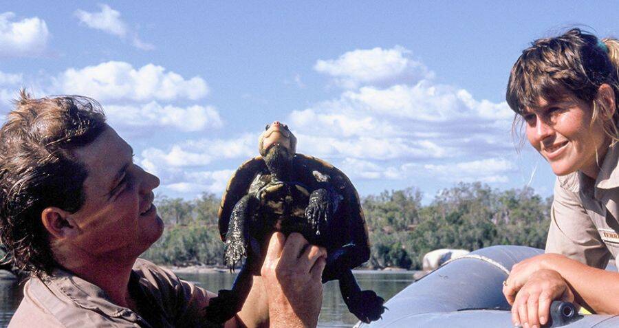 Robert Irwin Breeds A Rare Turtle Discovered By His Late Father