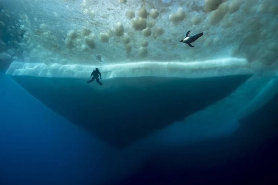 Thalassophobia, The Crippling Fear Of The Ocean And Deep Water