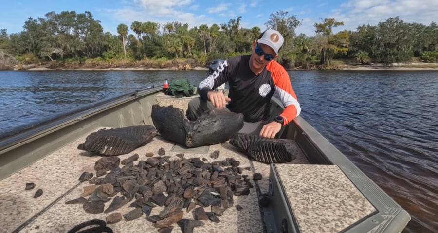 Florida Man Finds 10,000-Year-Old Mammoth Jaw In Peace River