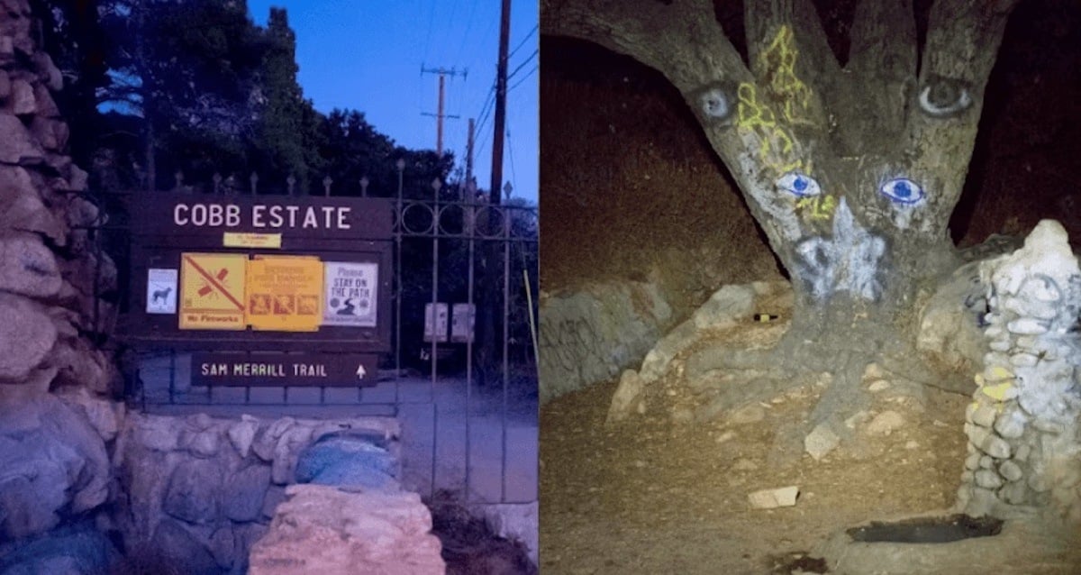 Cobb Estate: The 'Haunted Forest' Of Altadena, California