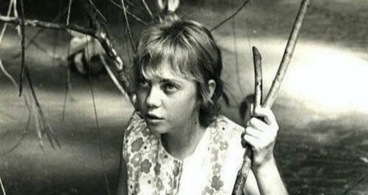 Astonishing Airplane Survival Stories With History Uncovered