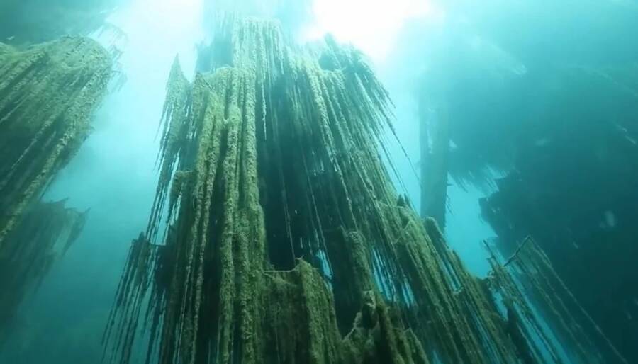 Thalassophobia, The Crippling Fear Of The Ocean And Deep Water