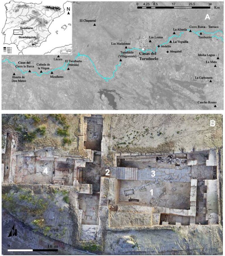 More Than 6,000 Animal Bones Discovered In Iron Age Pit