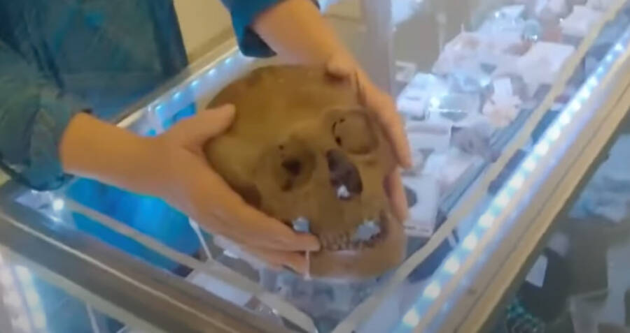 A Real Human Skull Was Just Discovered In A Florida Thrift Store