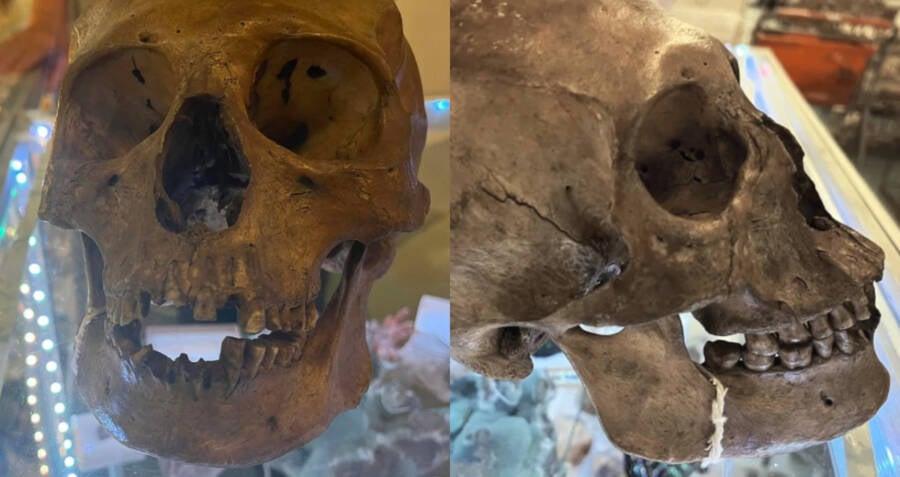 A Real Human Skull Was Just Discovered In A Florida Thrift Store