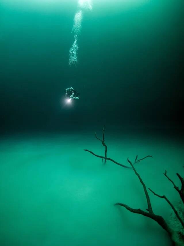 Thalassophobia, The Crippling Fear Of The Ocean And Deep Water