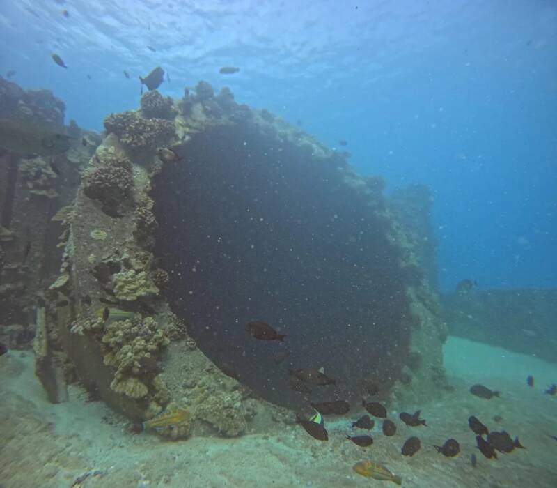 Thalassophobia, The Crippling Fear Of The Ocean And Deep Water