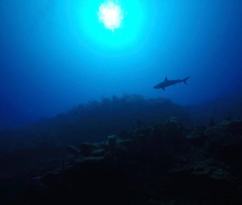 Thalassophobia, The Crippling Fear Of The Ocean And Deep Water