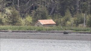 Portlock, The Alaska Ghost Town Allegedly Home To A 'Killer Bigfoot'