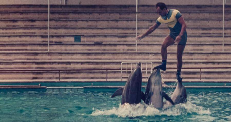 Jose Luis Barbero And The True Story Of ‘The Last Dolphin King’