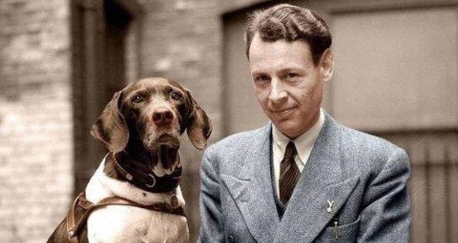 11 Famous Dogs Who Earned The Title Of 'Man's Best Friend'