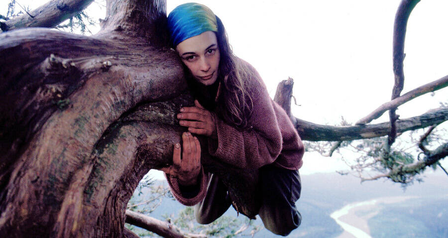 Julia ‘Butterfly’ Hill, The Activist Who Lived In A Tree For 738 Days