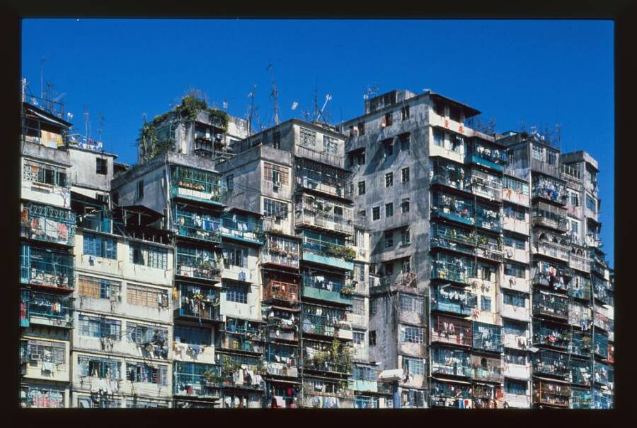 Inside Kowloon Walled City, Once The Densest Place On Earth