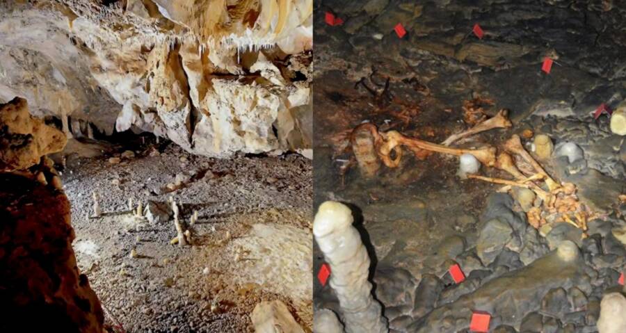 16,800-Year-Old Cave Dwelling Discovered In Spain