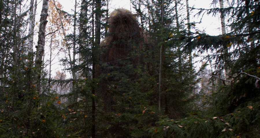 Leshy, The Shapeshifting Forest Spirit Of Slavic Lore