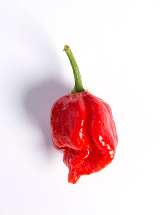 What Is The Hottest Pepper In The World?