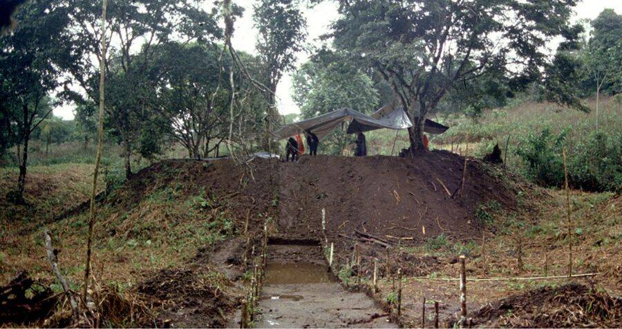 Archaeologists Uncover A Network Of Ancient Cities In The Amazon