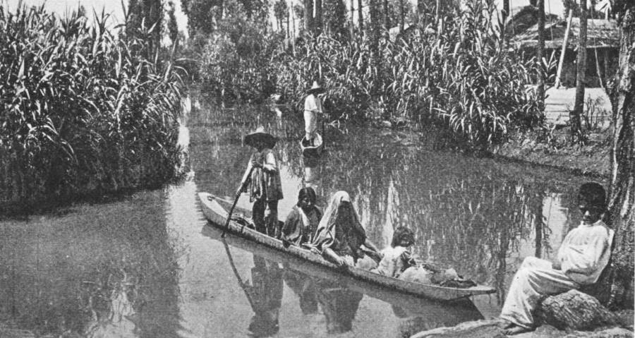 The History Of Chinampas, The ‘Floating Gardens’ Of Mexico