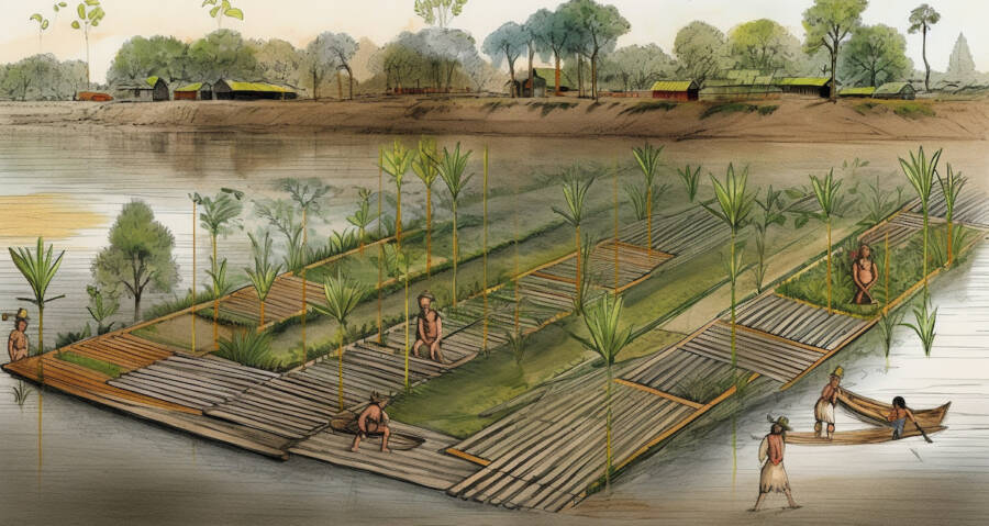 The History Of Chinampas, The ‘Floating Gardens’ Of Mexico