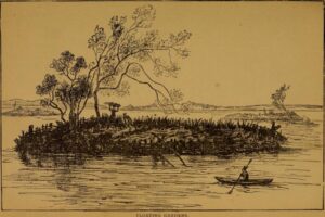 The History Of Chinampas, The ‘Floating Gardens’ Of Mexico