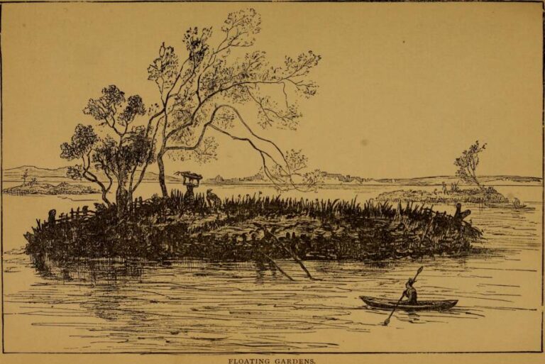 The History Of Chinampas, The ‘Floating Gardens’ Of Mexico