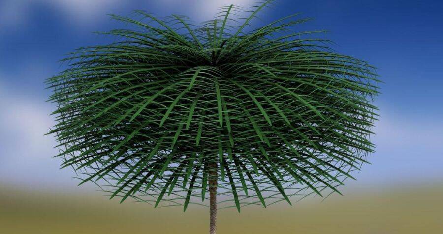 Scientists Discover Prehistoric 'Alien' Tree Fossil In Canada